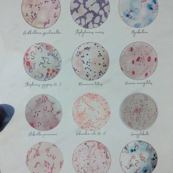 Microbe Collection, Bacteria, Bacteria Art, Science, Science Art ...