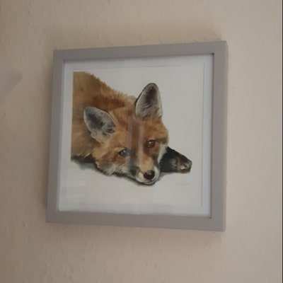 FOX Signed Print of a Watercolour Painting by Jan Taylor, Red Fox 2 - Etsy