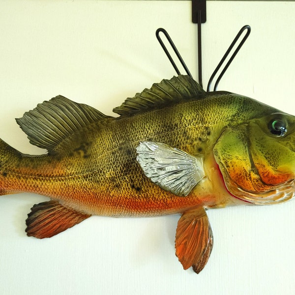 Snook - Fish Mount - Fiberglass Taxidermy Replica - Half Mount - Etsy