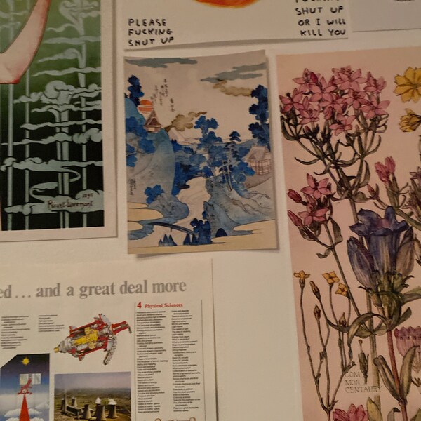 Cow Print, Cattle Wall Art, Cow Breeds Poster, Typical Cows Poster ...