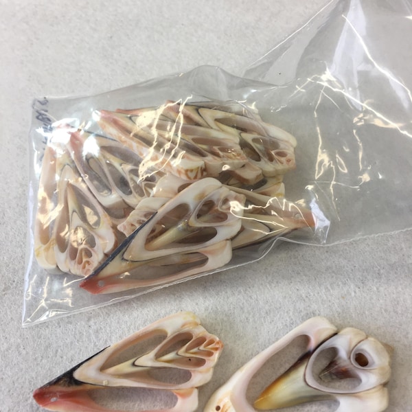 Hawaiian Puka Shells Vintage Natural Authentic - Etsy