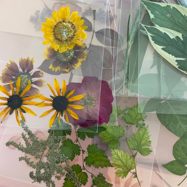 DICHA Black Walnut Double Wood Yarn Holder-advanced Metal Twirling ...