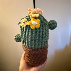 Crochet Cactus Crossbody Bag,handmade Cactus Bag,knitted Cactus Bag ...