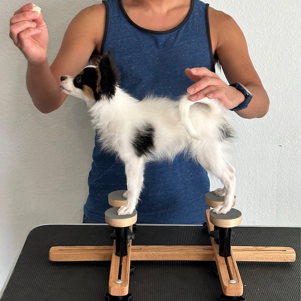 Stackrack Small - Elevated Show Dog Stand - Etsy