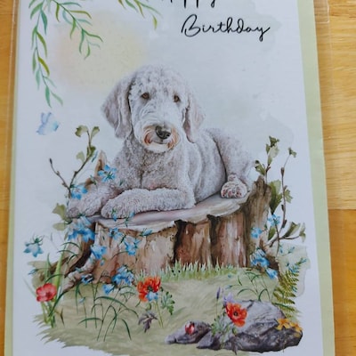 Cockapoo / Doodle black Dog happy Birthday Card 6 X 4 With Envelope ...