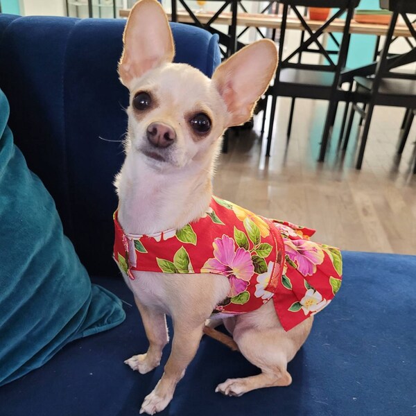 Hawaiian Print Dog Dress Mu'umu'u Style Dress for Your Pet, Red Dog ...