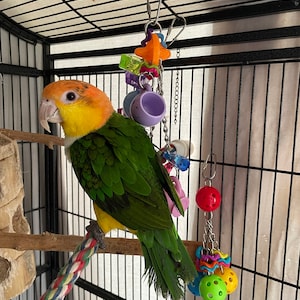 5 Bamboo Firecracker Talon Toys Bird Toys for Pet Parrots by | Etsy