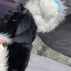 Fursuit Kig Series Furry Fursona Fursuit Full Body Custom Clothing ...
