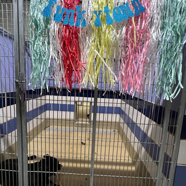 Custom Retro Banner, Personalized Banner, 70's, Disco, Groovy One ...