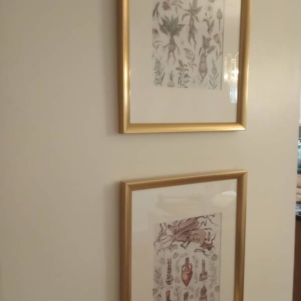 Herbology Medicinal Plant Chart | Magic Botanical Watercolor Printable ...