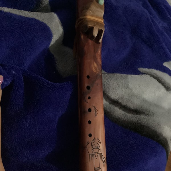 Snapping Turtle Shell Maraca Rhythm Percussion Instrument - Etsy