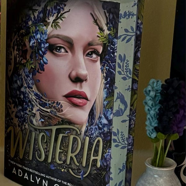 Lightlark Series Sprayed and Stenciled Edges - Etsy