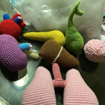 11 Crochet Organs Patterns EBOOK PDF Amigurumi Heart Liver Kidney Brain ...