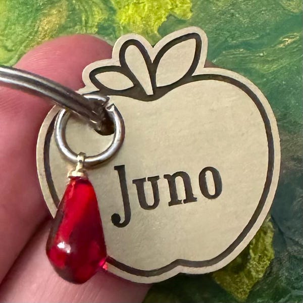 Apple Dog Tag, Pet ID Tag, Personalized Dog Tag, Microchip Pet Tag ...