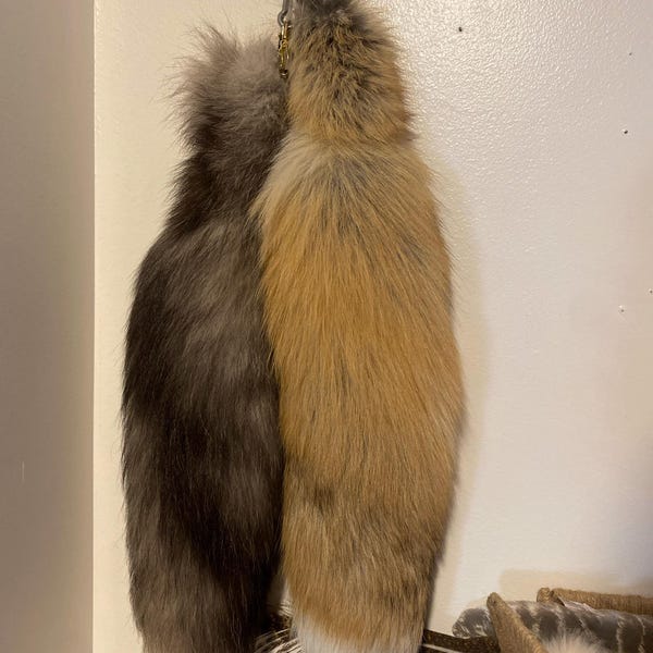 Cabin Red Fox Pelt, Tanned - Etsy