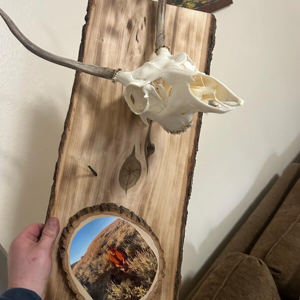 Custom European Mount Plaque - Etsy