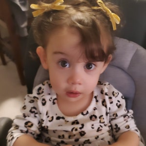 Baby Wisp® 3 Baby Toddler Hair Bows Wisp Clip Baby Bows - Etsy