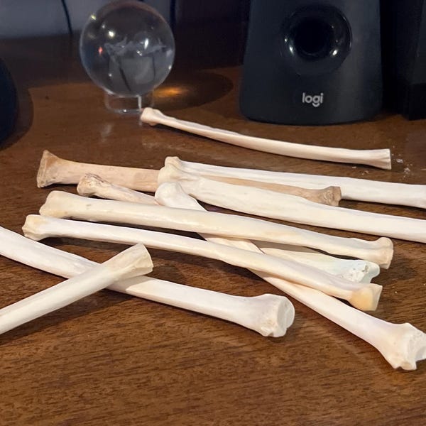Osteomancy Bone Throwing Set With Over 25 Pieces - Etsy