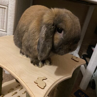 CC Foundations Timeline Stickers - Etsy