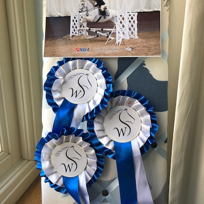 Horse Rosette Display Board, Fabric Noticeboard, Wall Decor, Memoboard ...