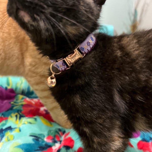 Fancy Pet Collar Leash for Cat Birthday Gift,personalized Puppy Collar ...