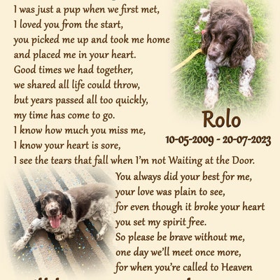 Cocker Sprocker Spaniel Dog Memorial Magnetic Sympathy Card - Etsy UK