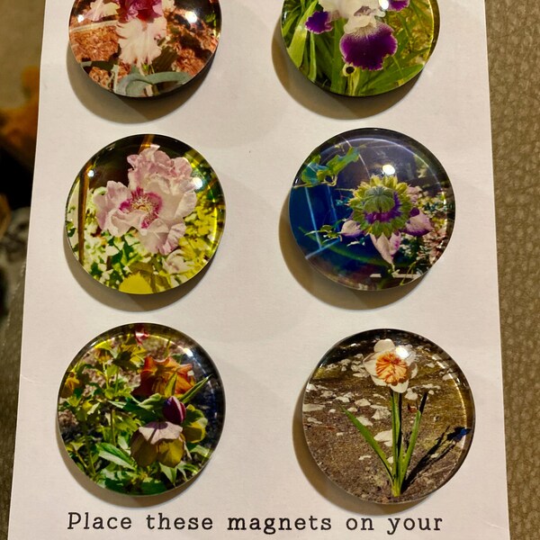 Custom Glass Photo Magnets | Fridge Magnets Personalized Refrigerator ...