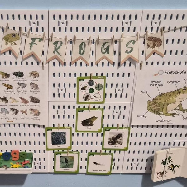 Frog Unit Study Homeschool Summer Activities Frog and Toad Life Cycle ...