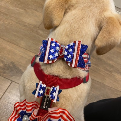Cute Dog Bows With Pink & Green Floral. Rhinestone Center Option. Small ...