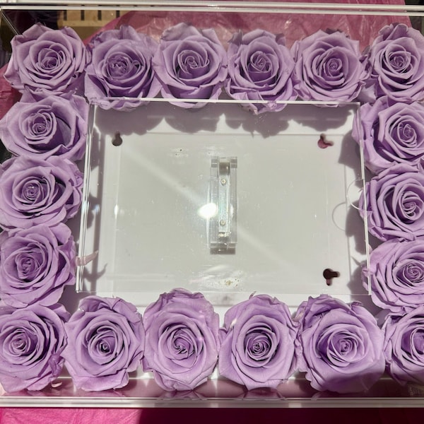 Pack of 16 Long-stem White Preserved Roses | Valentines Day Gift ...