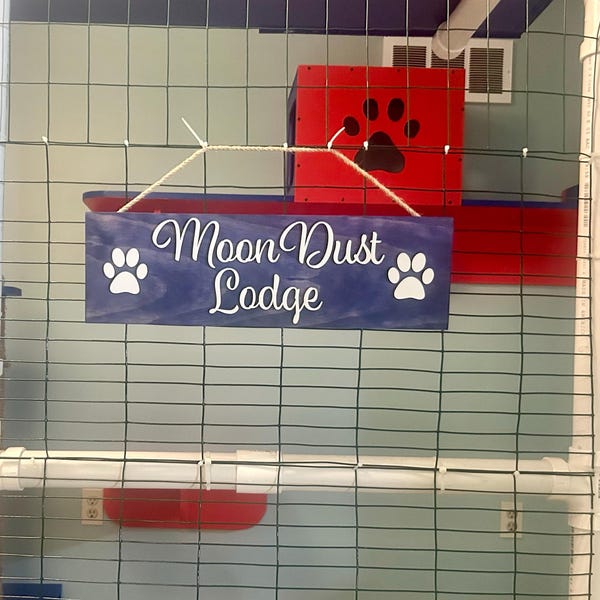 Lint Roller Sign, 3D Letters, Lint Roller Hanger, Pet Hair Sign - Etsy