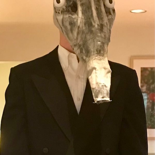 DIY Anteater Mask, 3D Paper Craft Template, Halloween Mask, Printable ...