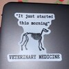 Vet Student Shirt Veterinarian Meme, Funny Vet Student Shirt, DVM ...