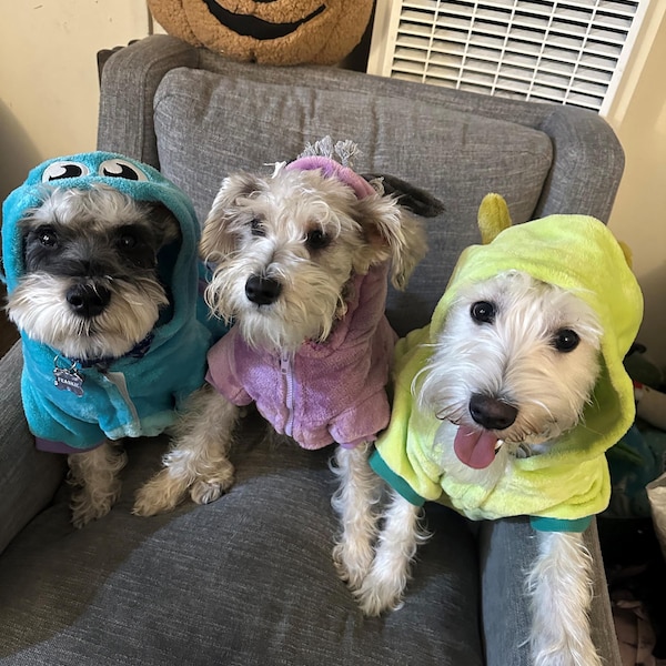 Baja Dog Poncho SIZE 3-mexican Dog Hoodie-mexican Poncho -dog Sweater ...