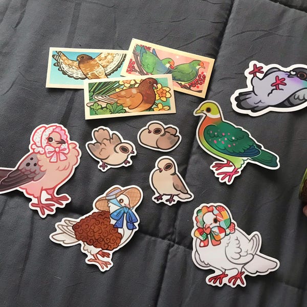 Pudgy Pigeon Sticker - Etsy