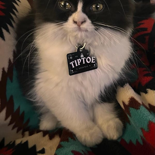 Witchy Pet ID Tag, Custom Personalized Dog or Cat Tags, Mystical Gothic ...