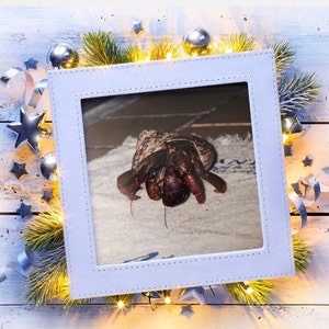 Plate Tectonics Keychain Geology Science Gift - Etsy