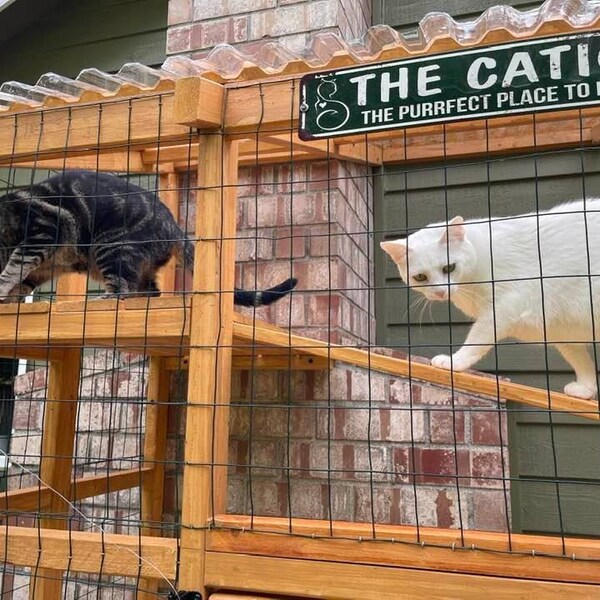 Catio Sign the Catio the Purrfect Place to Be Cute Catio Sign Vintage ...