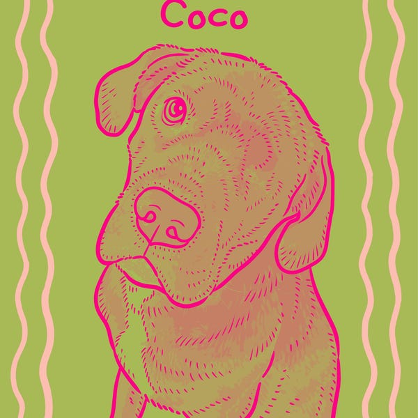 Custom Funky Pet Portrait, Cute Digital Cat Poster, Custom Badly Drawn ...