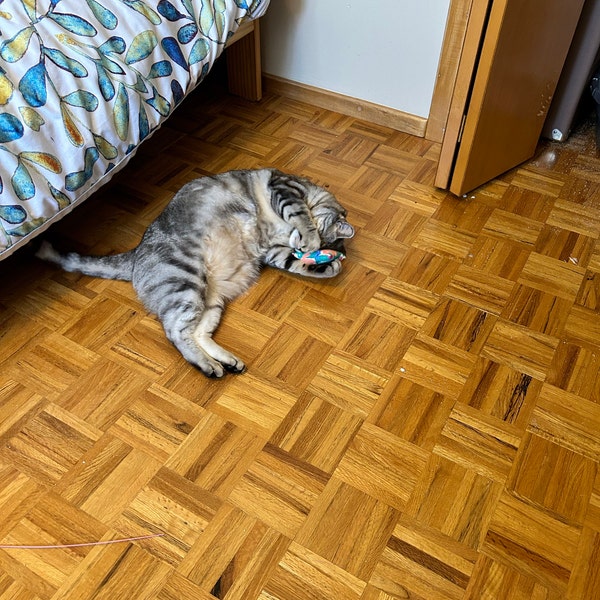 Iodine Chart, Digital Download PDF. Iodine Plays a Vital Role in the ...