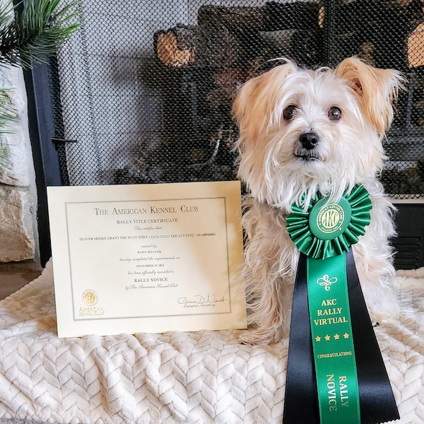 AKC Virtual Rally Title Ribbon Rosette - Novice, Intermediate, Advanced ...