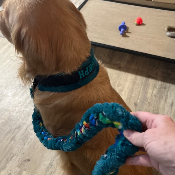 Bold and Bright Ring Lead With Tug! - Agility Lead-barn Hunt Lead ...