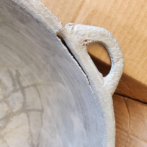 Abere Seeds (hunteria Umbellata) 30 Seeds Ships Quick - Etsy