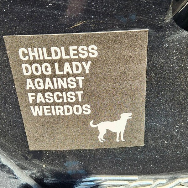 Raven Shirt Spanish Crow Cuervo Bird Witchy Language Dark Academia ...