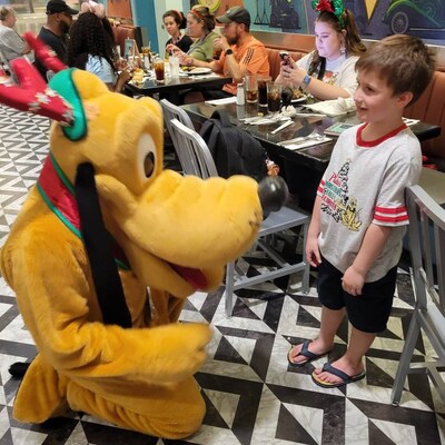 Lion King SVG JAMBO House Svg Lion King Svg Animal Kingdom Svg - Etsy