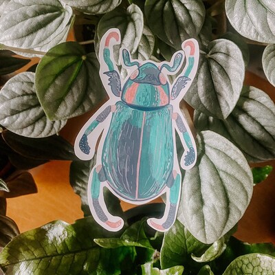 Beetle Waterproof Sticker Blue Pink Beetle Insect Sticker Insect Art ...