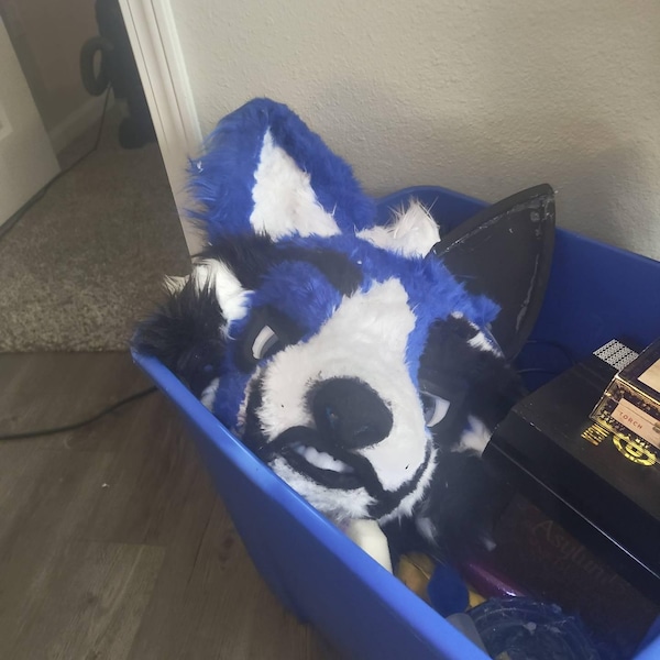 Fursuit Teeth - Multiple Types - Etsy