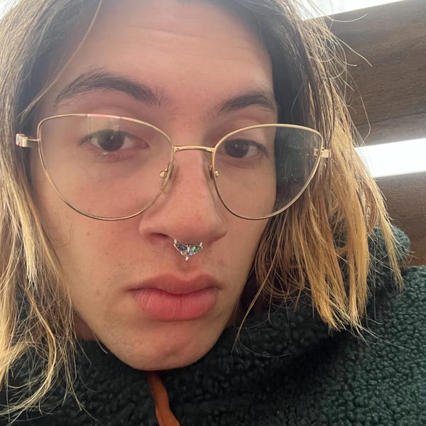 16G Abalone Shell Moth Septum Ring/hinged Segment Septum Clicker/daith ...