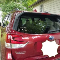 Cat Car Window Decal Car Decal, Window Decal, Car Stickers, Laptop ...