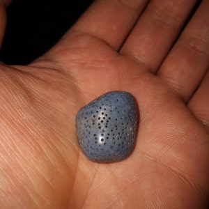 Blue Coral Tumbled Stone Blue Coral Crystal Stones protection Stone ...